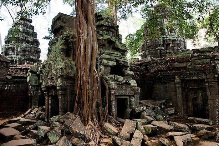 Giant Trees At the Cambodian Temple of Ta Prohm | Amusing Planet